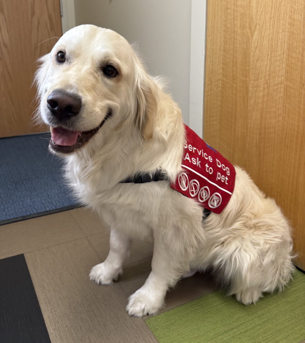 Summit the Service Dog | Main Street Pediatrics